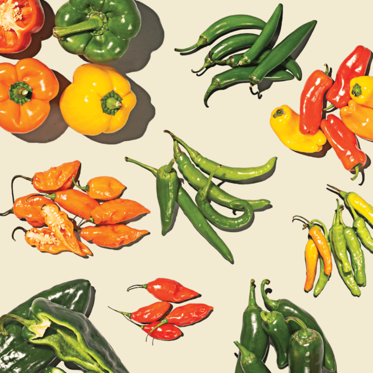 Everything You Need to Know About Peppers - Misfits Market
