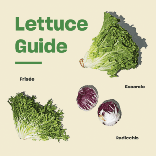 Not Just for Salads: Everything You Need to Know About Lettuce