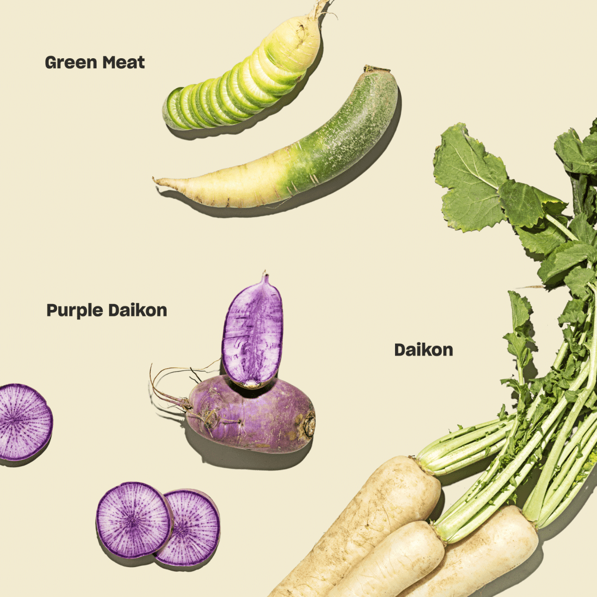 Everything You Need to Know About Radishes - Misfits Market