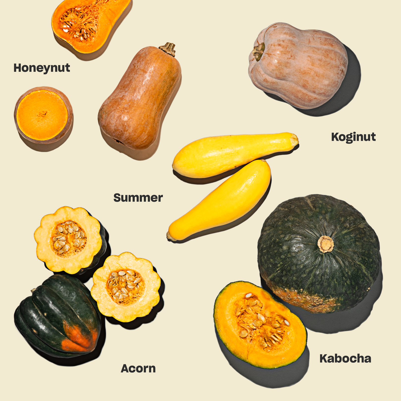 Everything You Need to Know About Winter Squash - Misfits Market