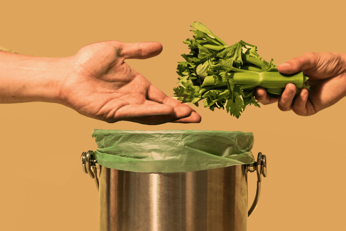 Food Waste: Tips, Stats, Recipes, and Food Storage Hacks