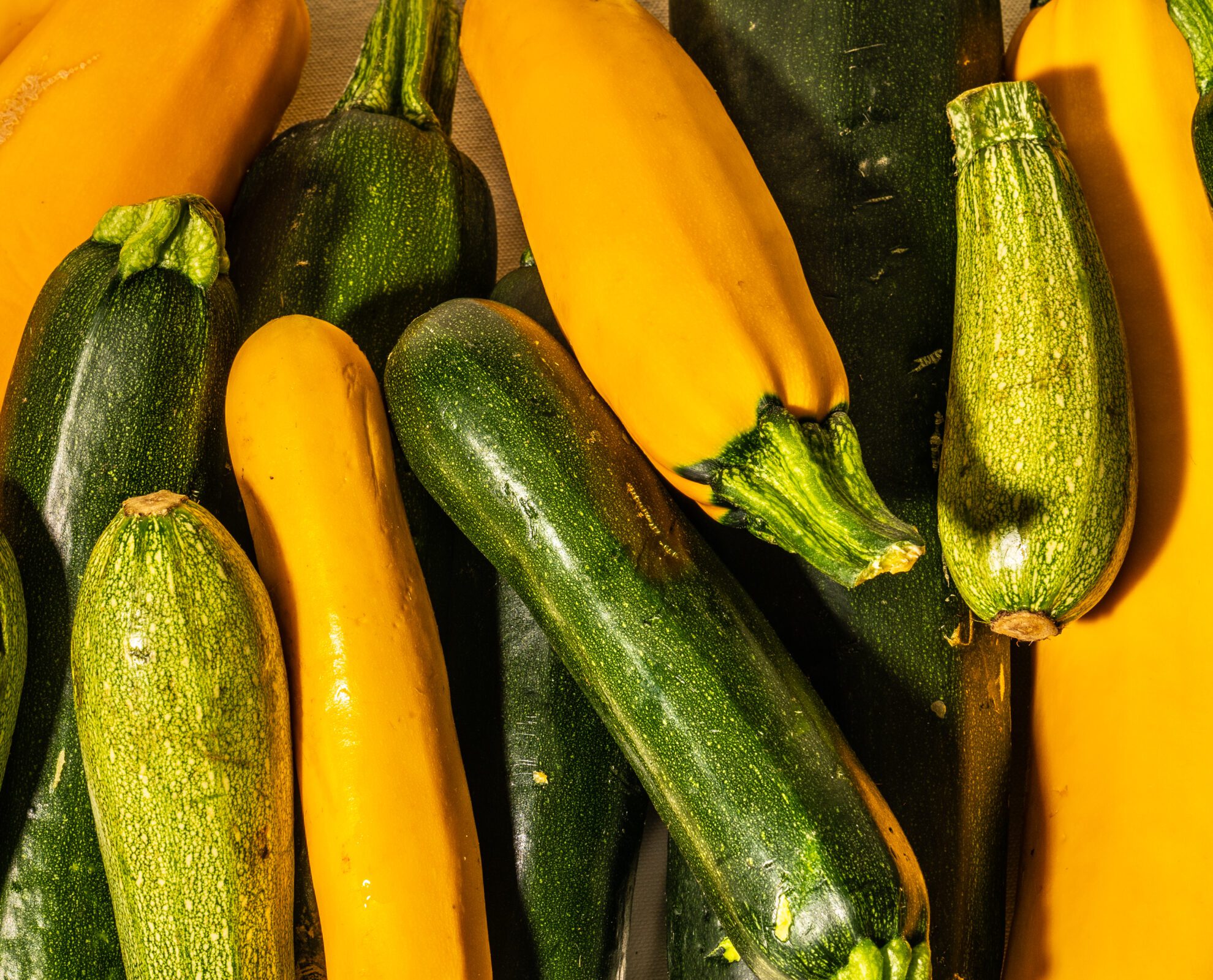 Zucchini vs. Yellow Squash: What’s the Difference? - Misfits Market