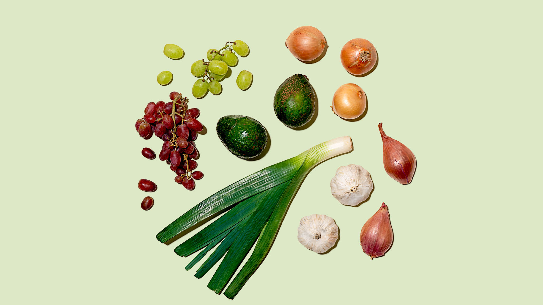 What Fresh Produce Your Pets Can and Can’t Eat - Misfits Market