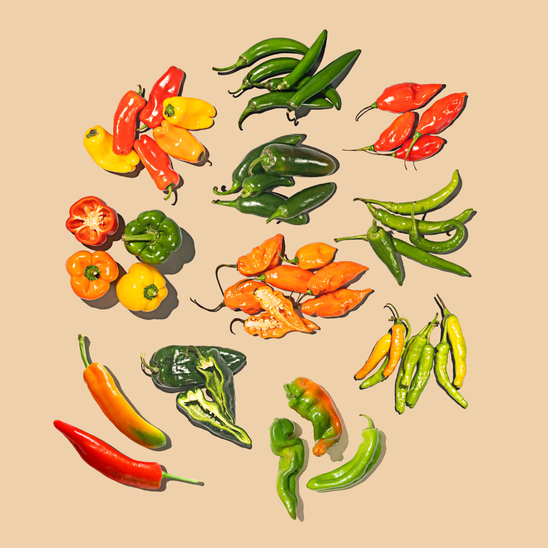 Everything You Need to Know About Peppers - Misfits Market