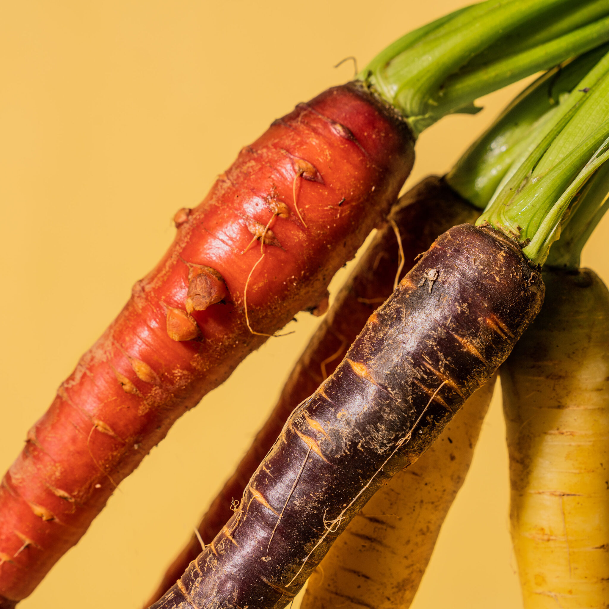 Mystery Color Veggies - Misfits Market