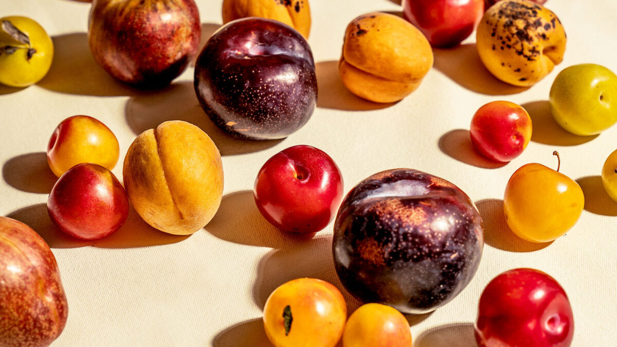 What’s in Season: September Fruits & Vegetables - Misfits Market