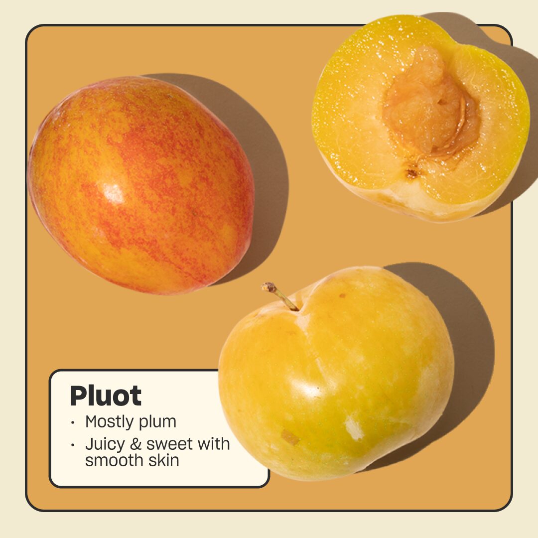 What Are Hybrid Fruits? A Guide to Pluots, Plumcots, and More - Misfits ...