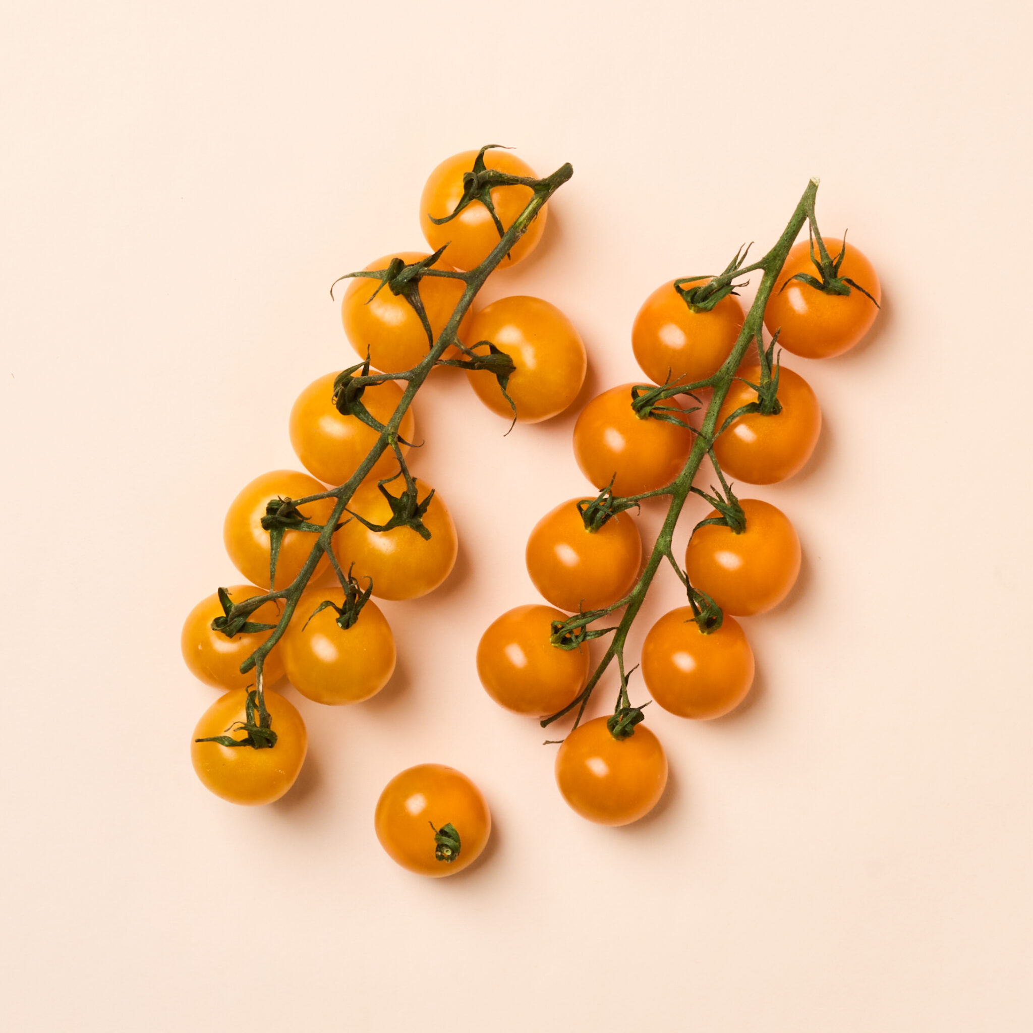 Types of Tomatoes: How to Tell Them Apart (and Use Them Right ...