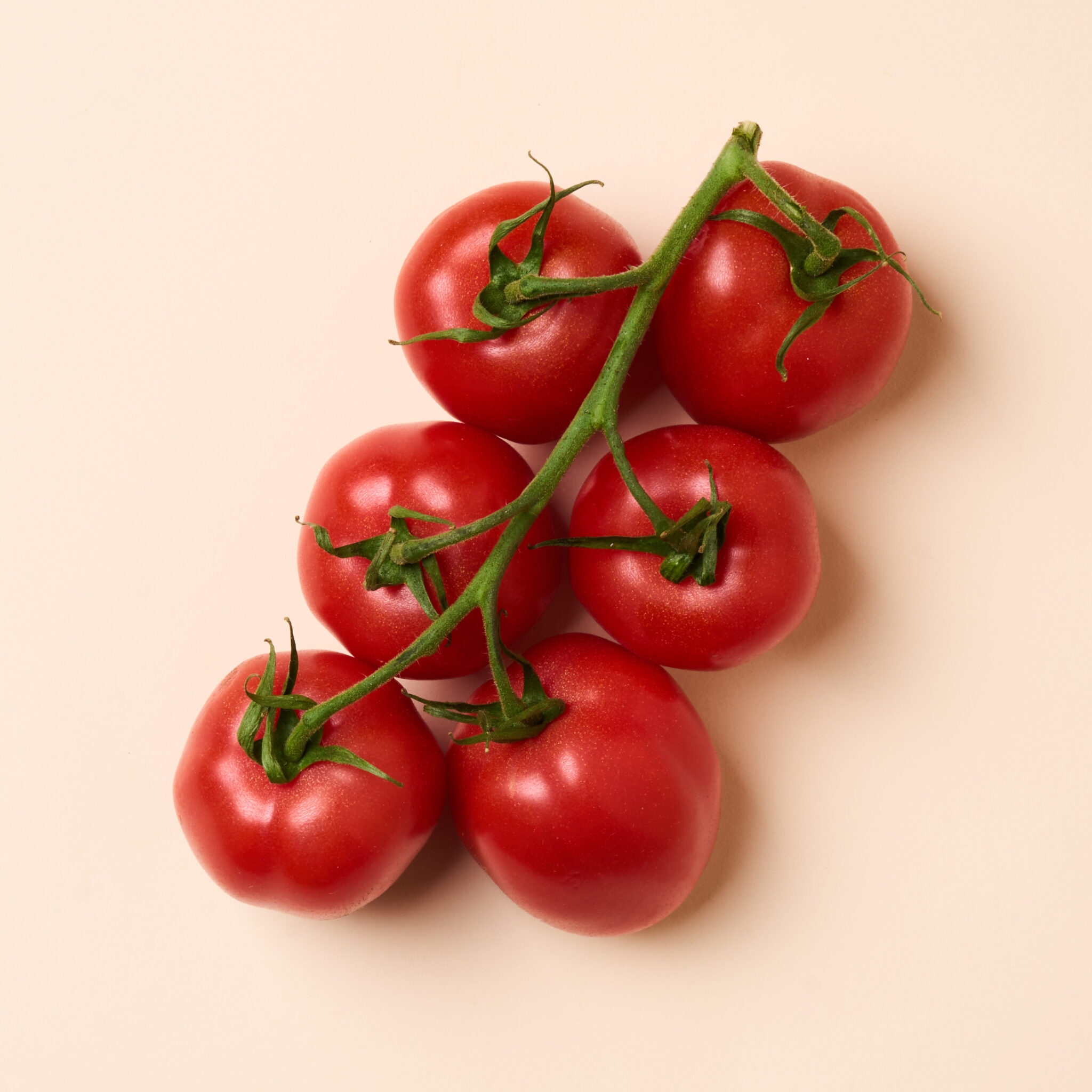 Types of Tomatoes: How to Tell Them Apart (and Use Them Right ...