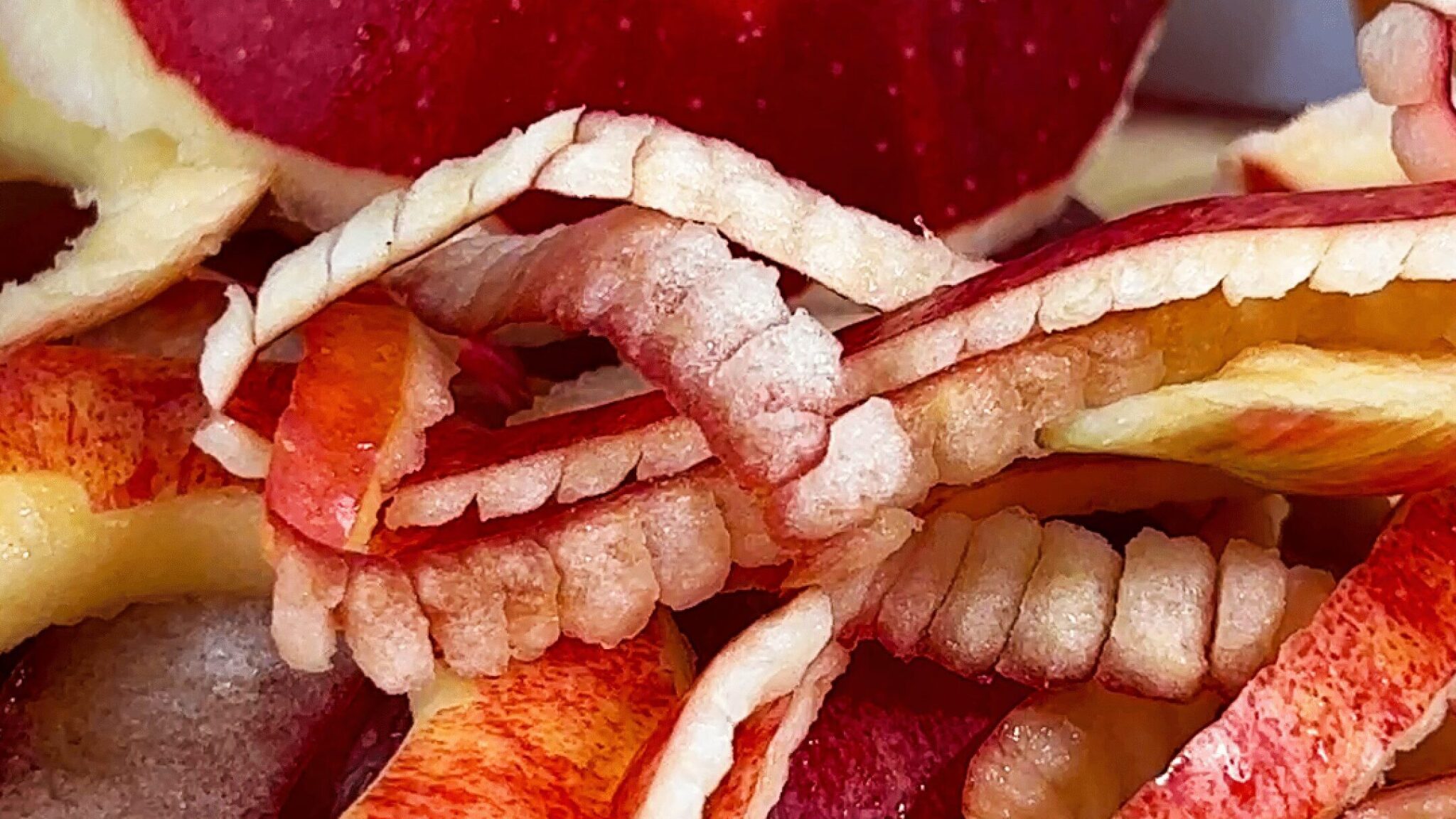 Everything You Need to Know About Apples - Misfits Market