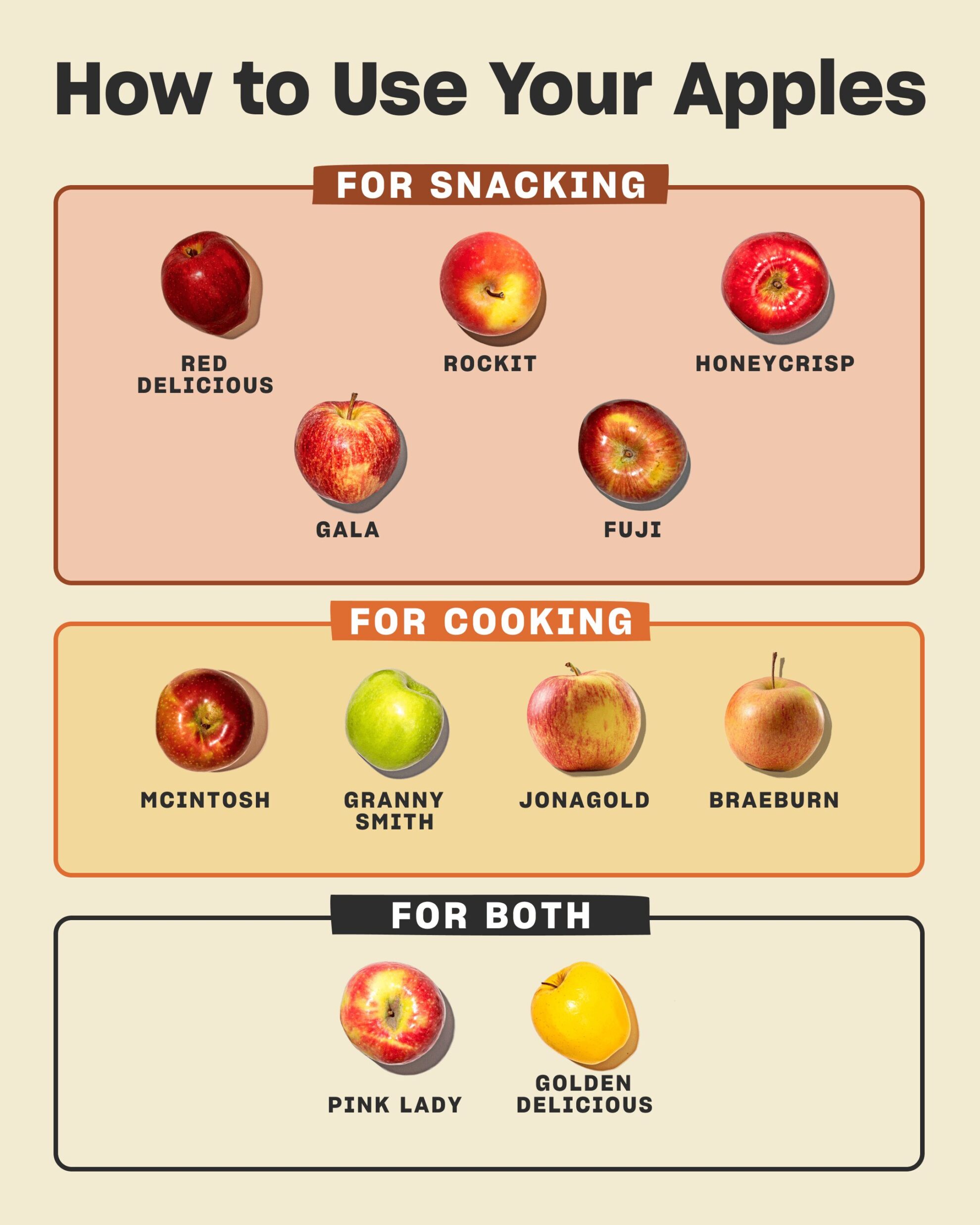 Everything You Need to Know About Apples - Misfits Market